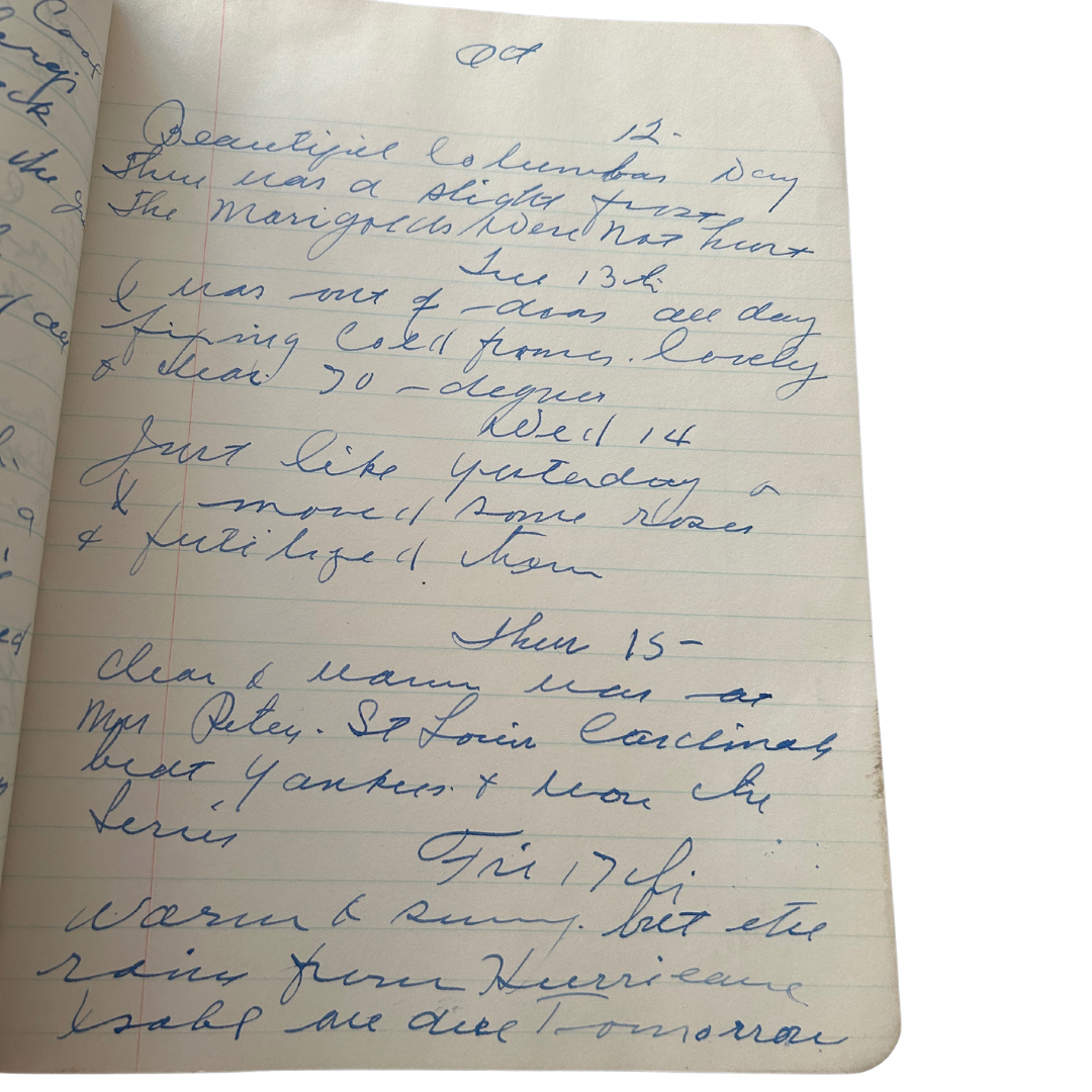 1938-1965 Three Diaries of a Mystery Long Island, New York Woman Follo ...