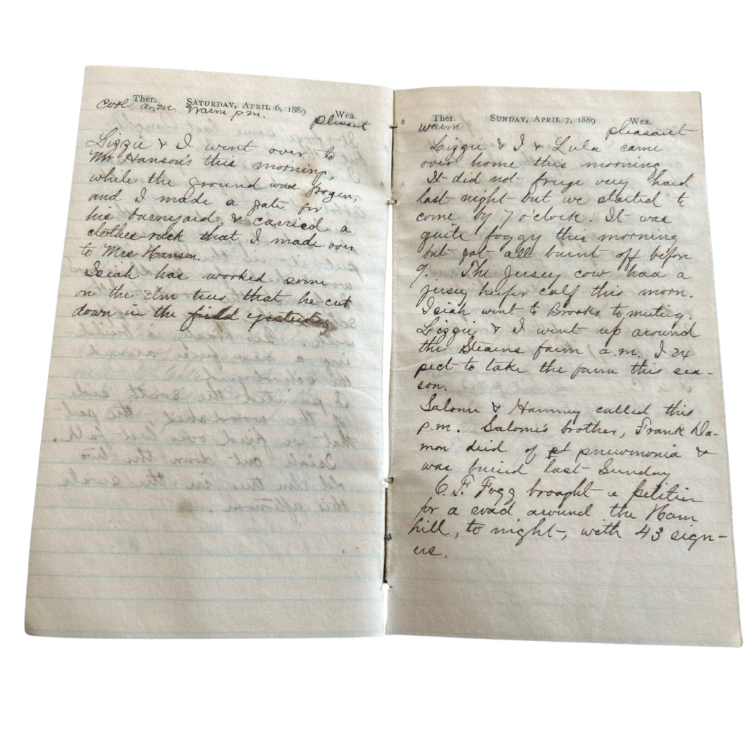 1889 Remarkably Detailed Manuscript Diary of a Waldo County, Maine Pub ...