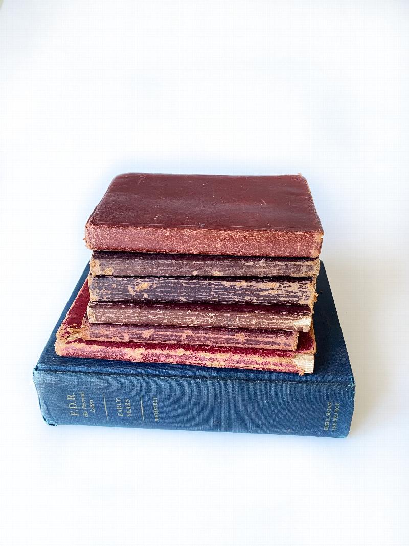 Sensational 1895-1903 Original Handwritten Diary Collection Rich with ...