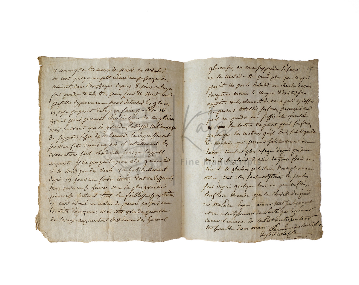 19th Century French Physician’s Notes on Remedies and Cures for Ailmen ...