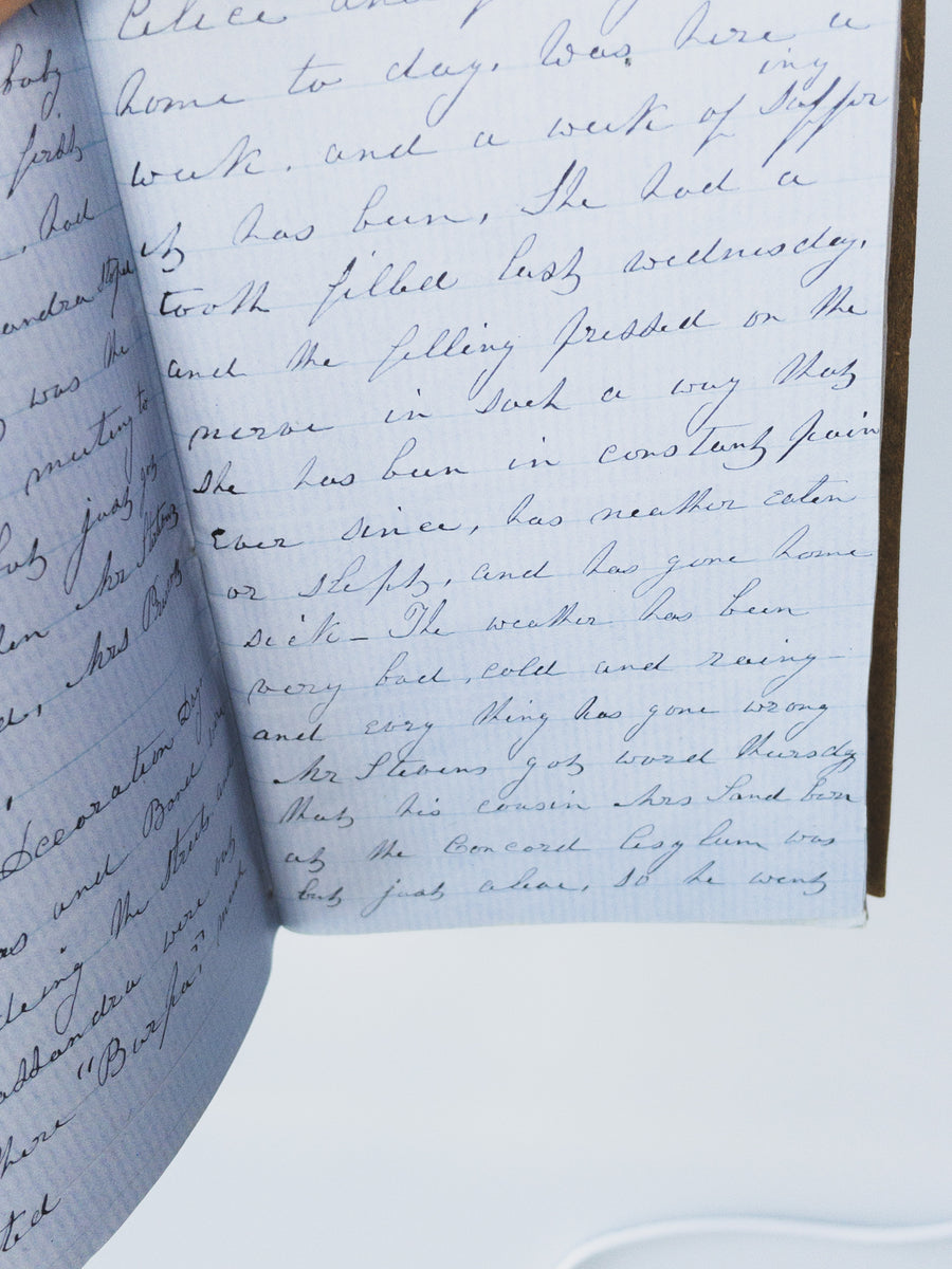 1882-1885 Diary of a Rural New Hampshire Matriarch Richly Detailing Da ...